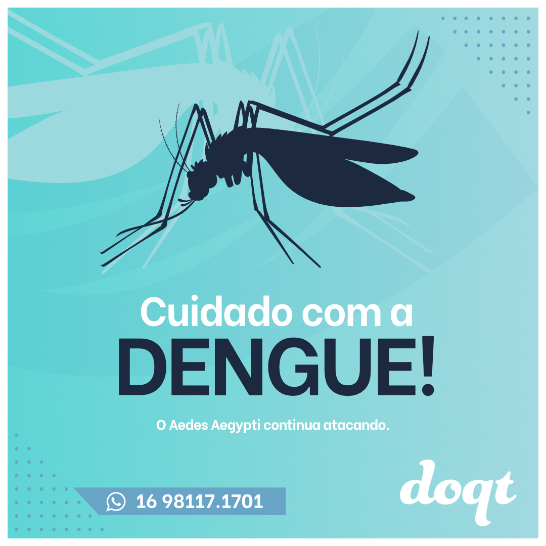 Casos De Dengue Aumentam Em Todo O Brasil Como Devo Me Cuidar Doqt